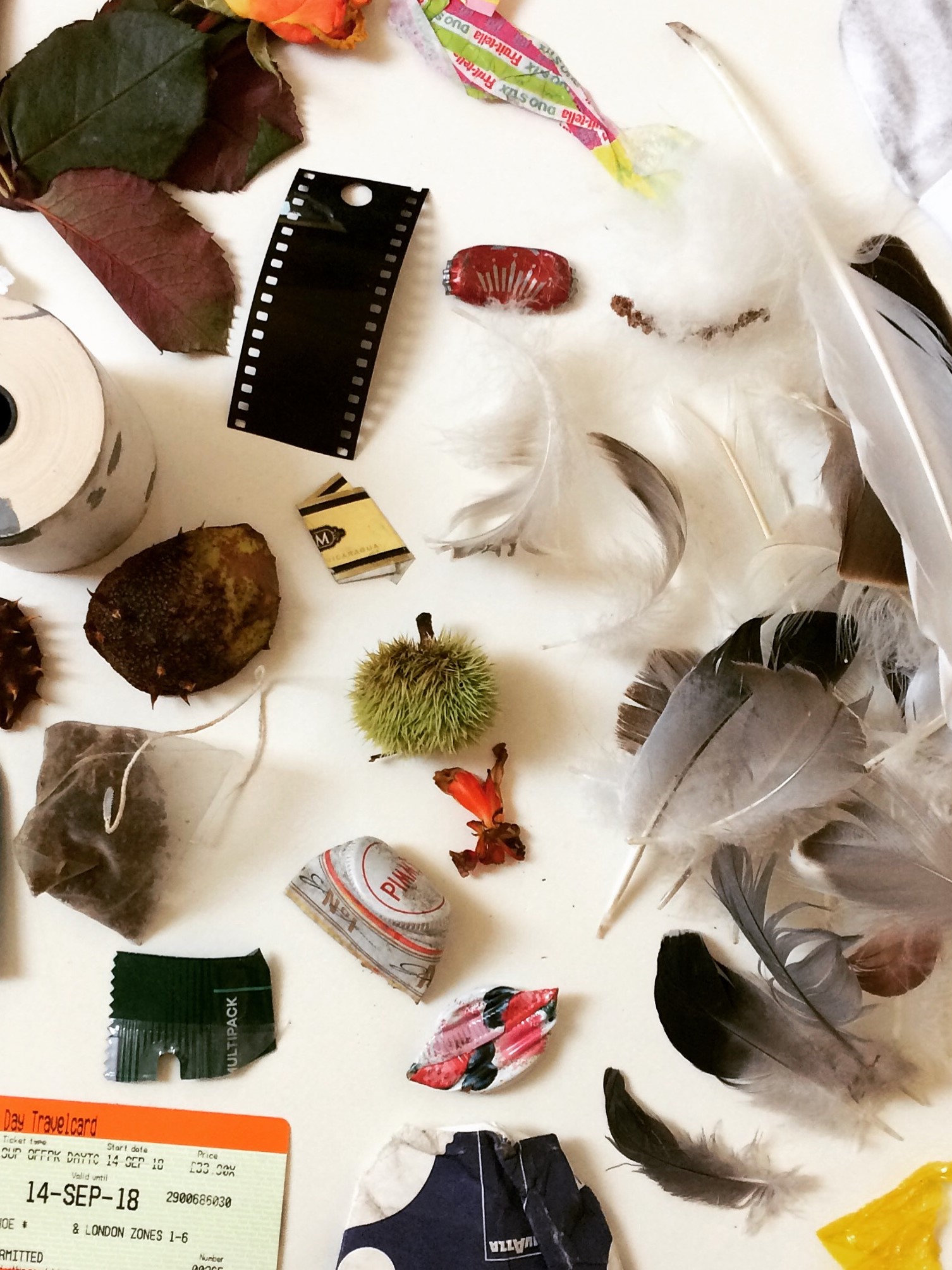 Interview: Martha Haversham • Unseen Sketchbooks