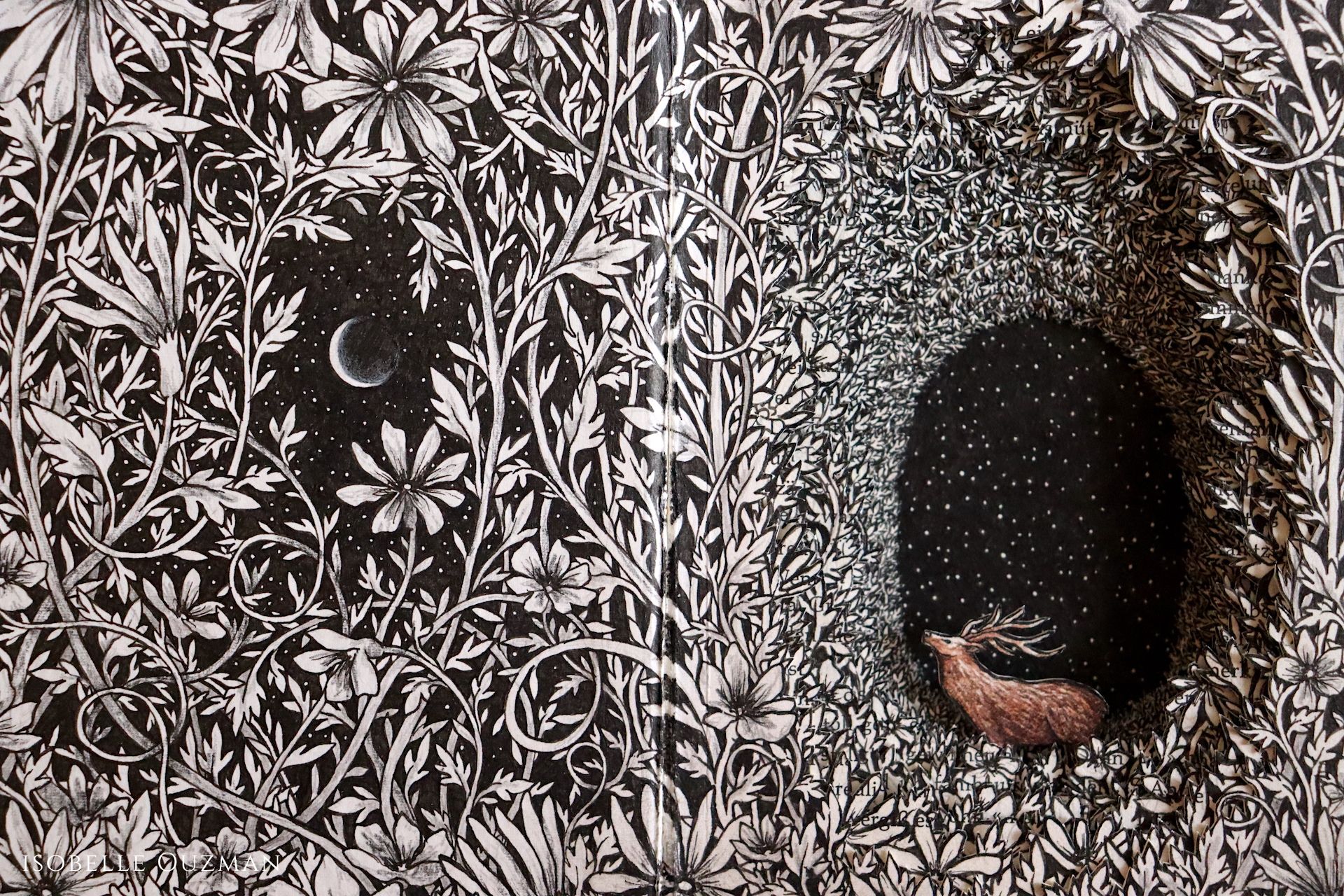 Interview: Isobelle Ouzman • Unseen Sketchbooks